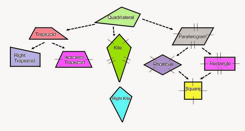 Always, sometimes, never. - Butterfly Classrooms