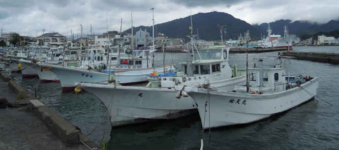 Belajar Dari Jepang Jilid II, Pelabuhan Perikanan Sebagai Basis Data