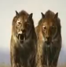 Abe's Animals: Antagonists in animal show documentaries