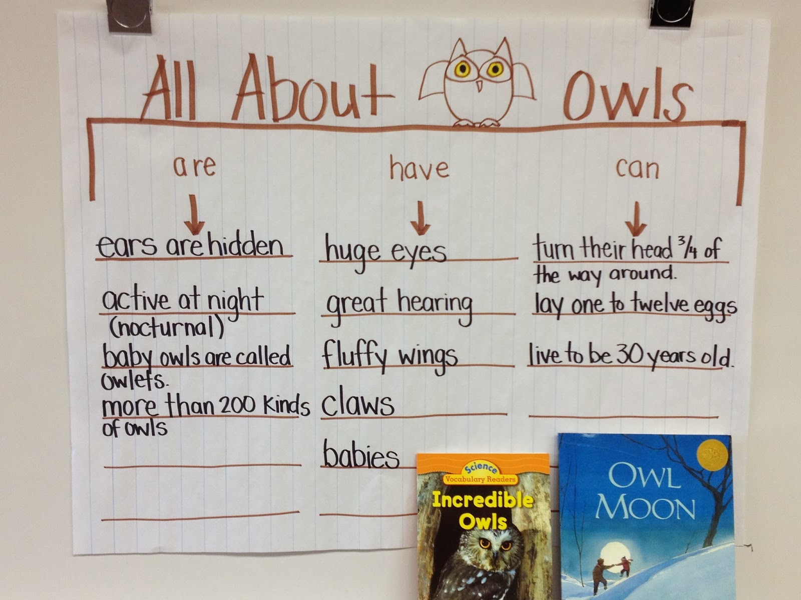 A View Into My Classroom: October 2013