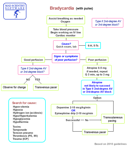 TENTANG JANTUNG: PENATALAKSANAAN PASIEN DENGAN BRADIKARDI DENGAN NADI ...
