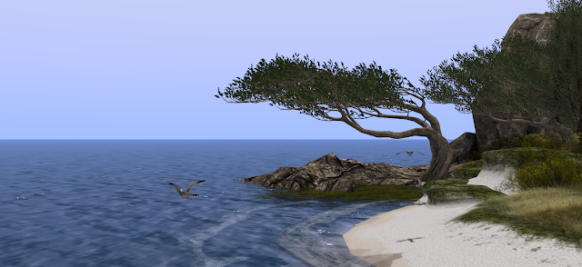 SPIRIT OF SUN - SPRING 2018 (Moderat)