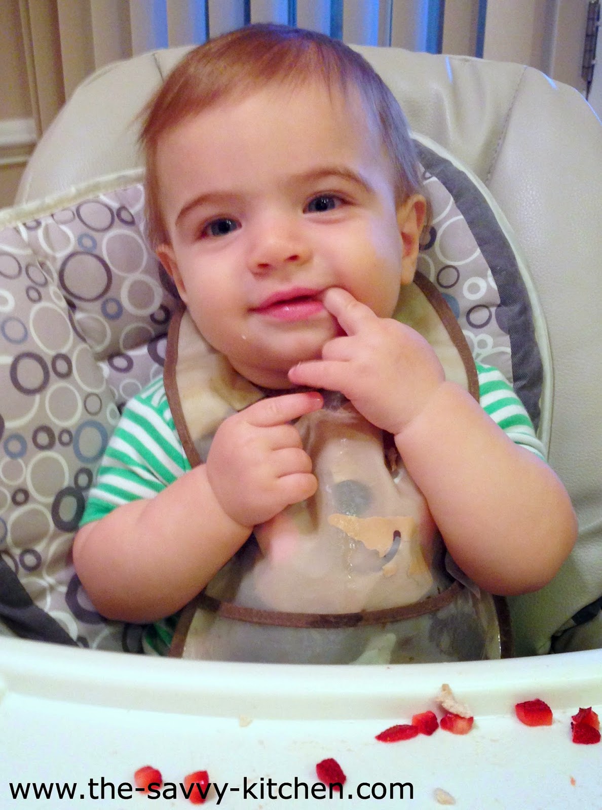 The Savvy Kitchen: {Tiny Tot Tuesdays} Homemade Organic Baby Yellow Squash