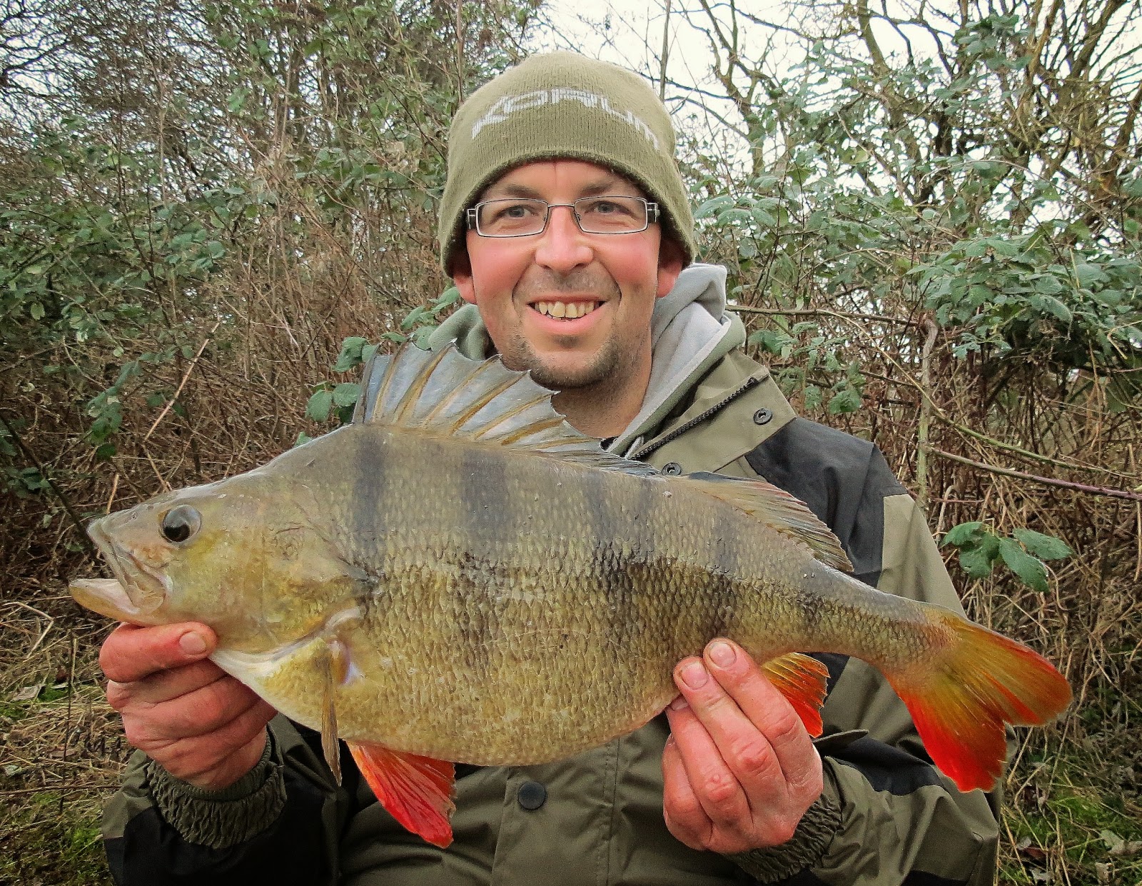 A Specialist Anglers Diary: Big river perch, in fact monster perch!