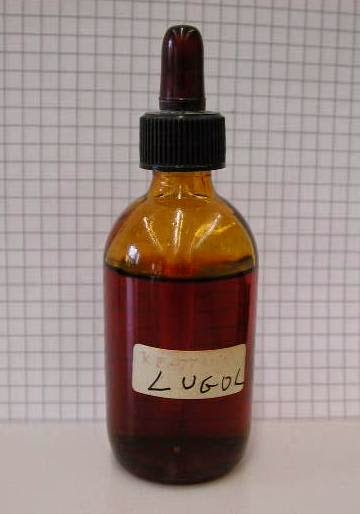 Trabajo Final: EXAMEN COPROPARASITOSCÓPICO