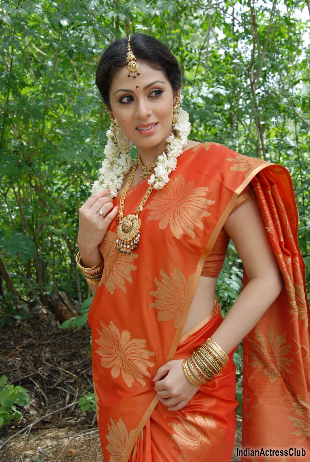 Beautiful Stills of Actress Sada in Traditional Saree and Jewelery ...
