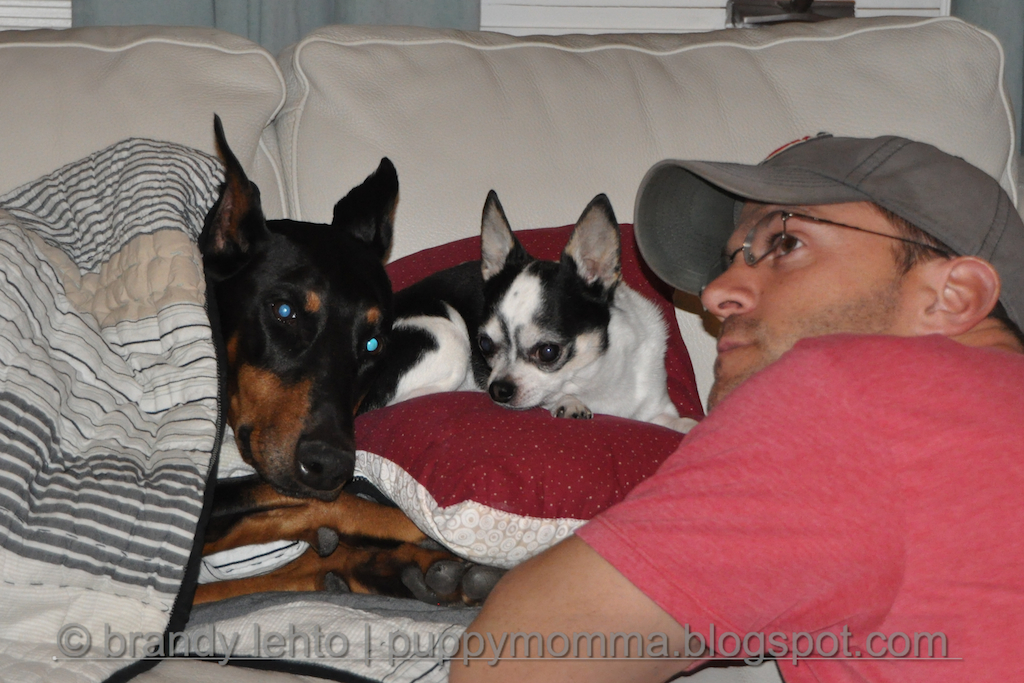 The Life of a Puppy Momma: Best Puppy Daddy in the Whole World