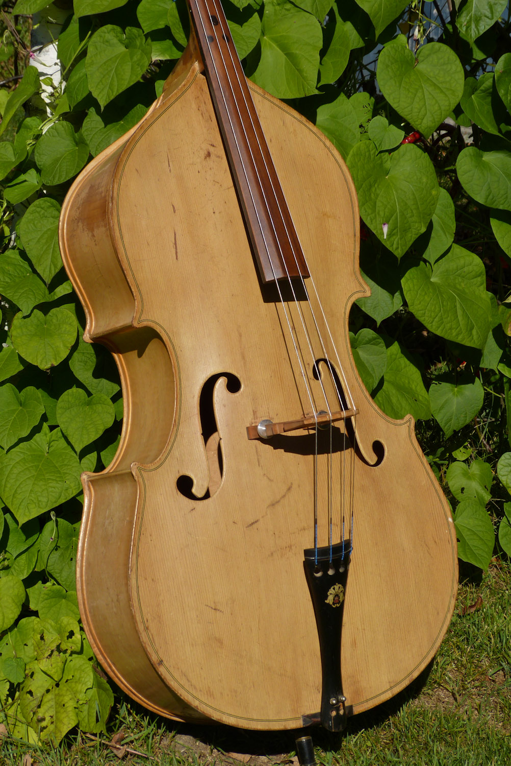 1959 King Mortone Upright Bass