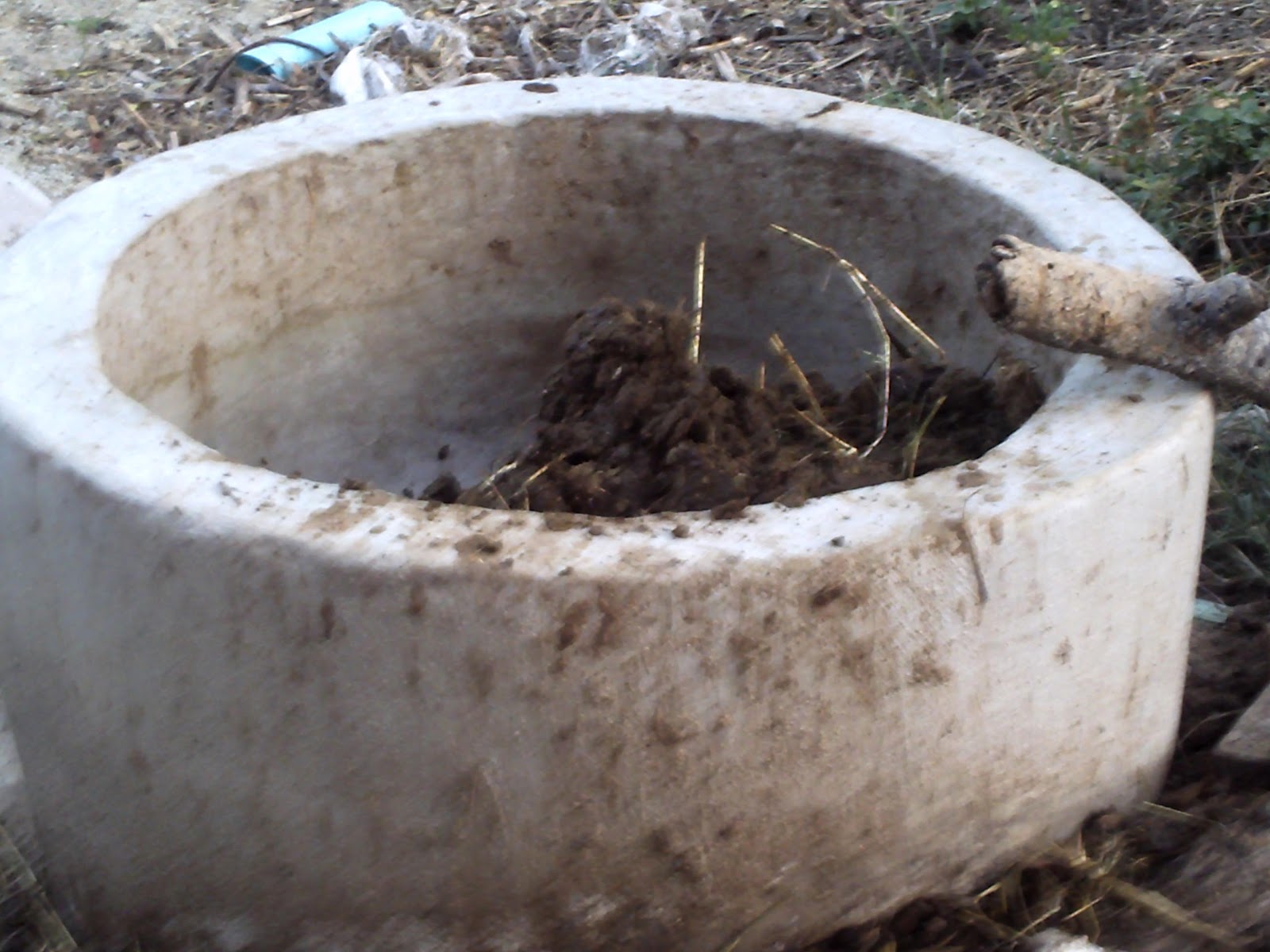Amisadai and Louisa's Adventures in Africa: Cooking with Cow Poo