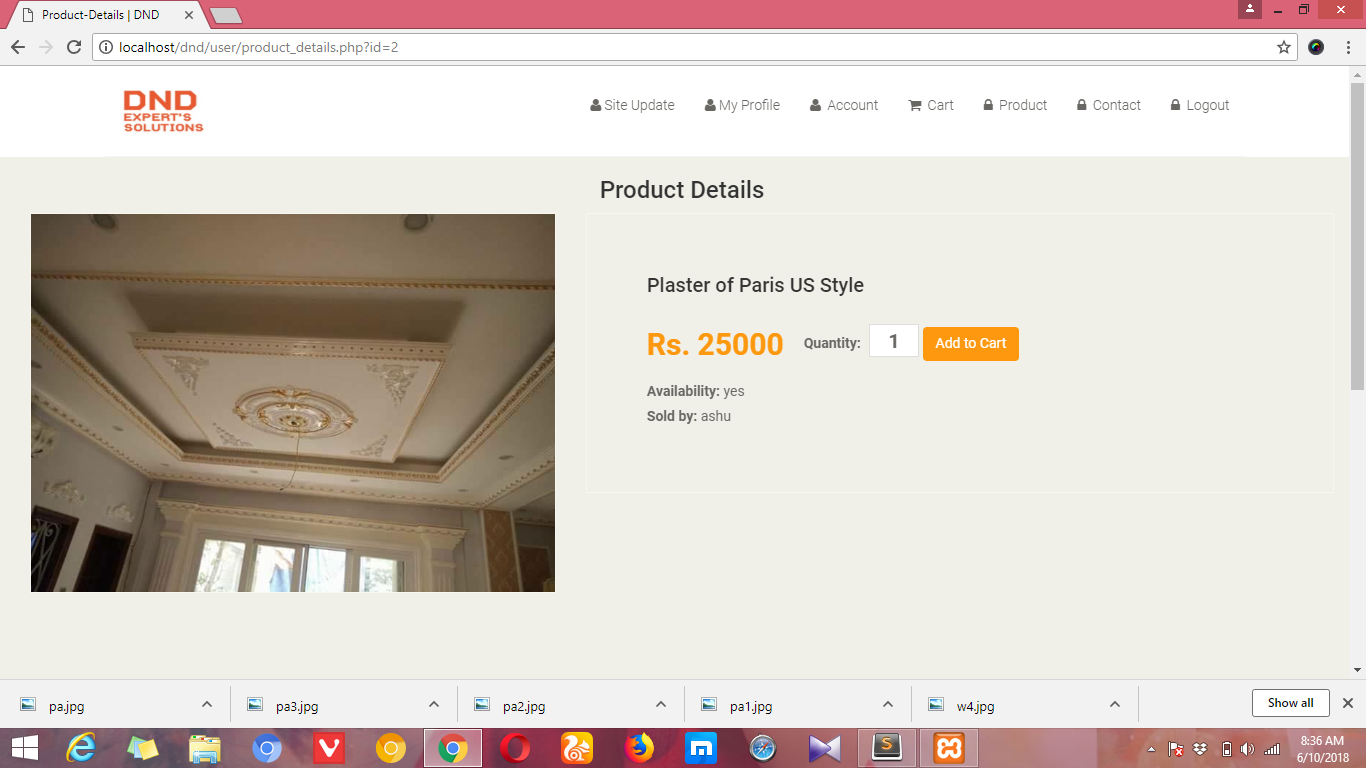 DND Expert Solution Project - AS