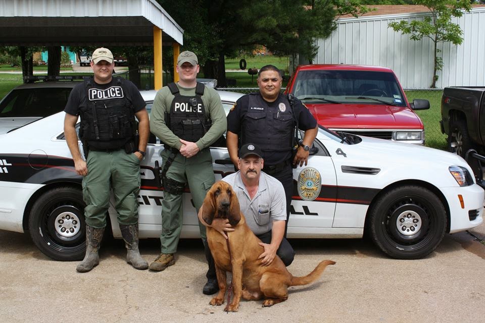 Dozer & Tracker: TFS K9 Arson Investigators
