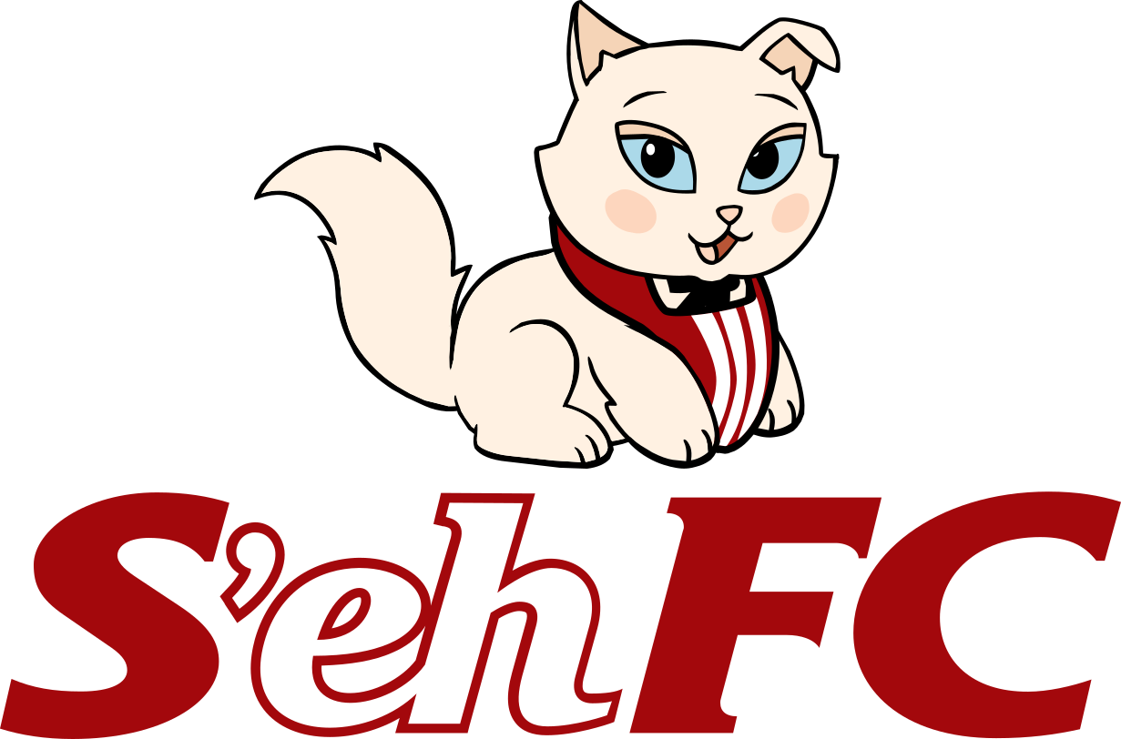 SLN! Media Group: Sheegwa Fried Chicken