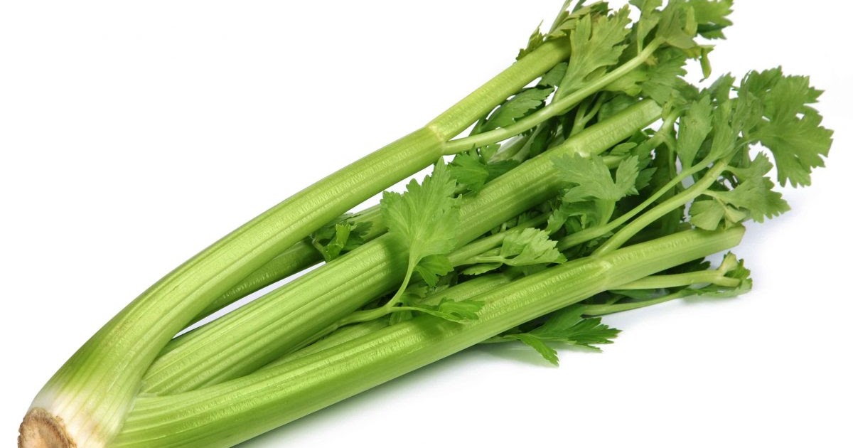 Conheça os benefícios do salsão, o produto da semana (11/9)