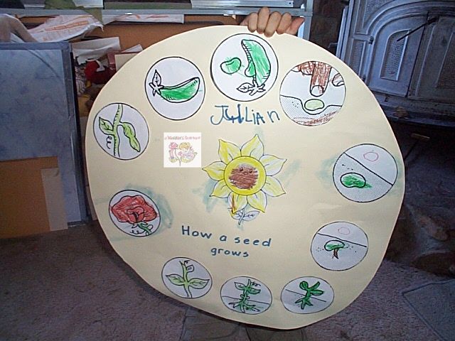 A Kinders Garten Vintage Homeschool: Oh, Say We Can Seed, You Can Too ...