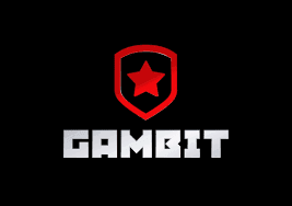Gambit Esport Resmi Melepas Roster Dota 2 nya - agent esport terbaik