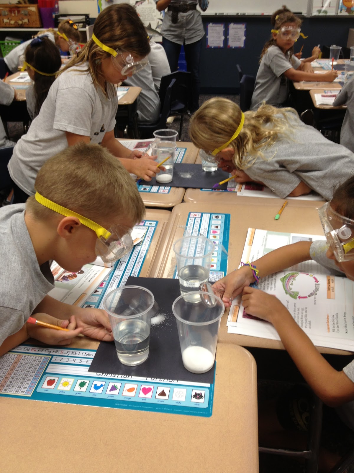 Learning With Mrs. Keller: Fish Habitat Experiment