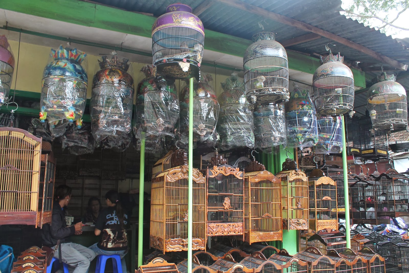 Pasar Burung "Splindit" Kota Malang; Jenis Burung Dan Info Lainnya ...
