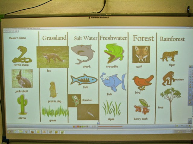 Teaching the Kid: Food Pyramids