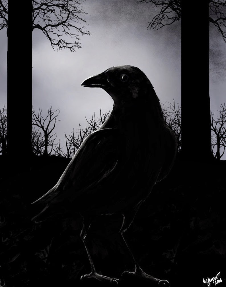 IMAGENES DE CUERVOS - RAVENS - CROWS | Veamos Una De Miedo - Terror en ...