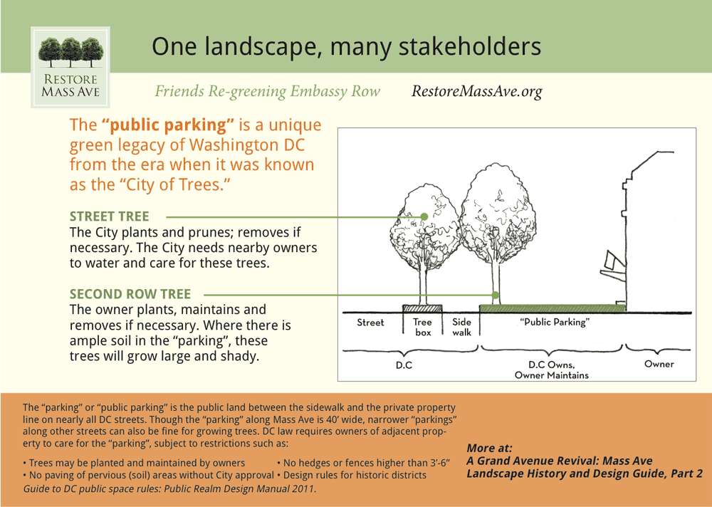 Street Tree Planting Brisbane City Council at Lakeisha Christian blog