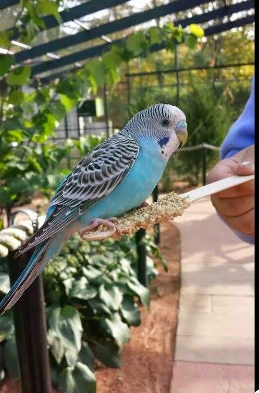 A Review of The Turtle Back Zoo: Classic New Jersey Day Trips | The ...