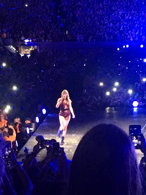 My Taylor Swift Reputation Tour Experience | Royally Pink
