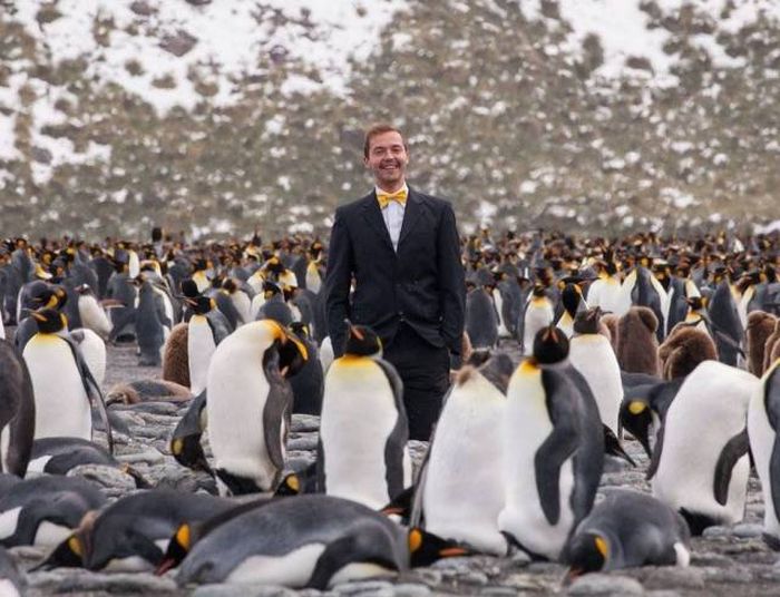 Funny Free Pics: Awesome Pictures With Interesting Situations