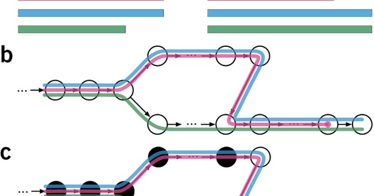 Analysis of data from high-throughput molecular biology experiments (Ioannis): Kallisto explained