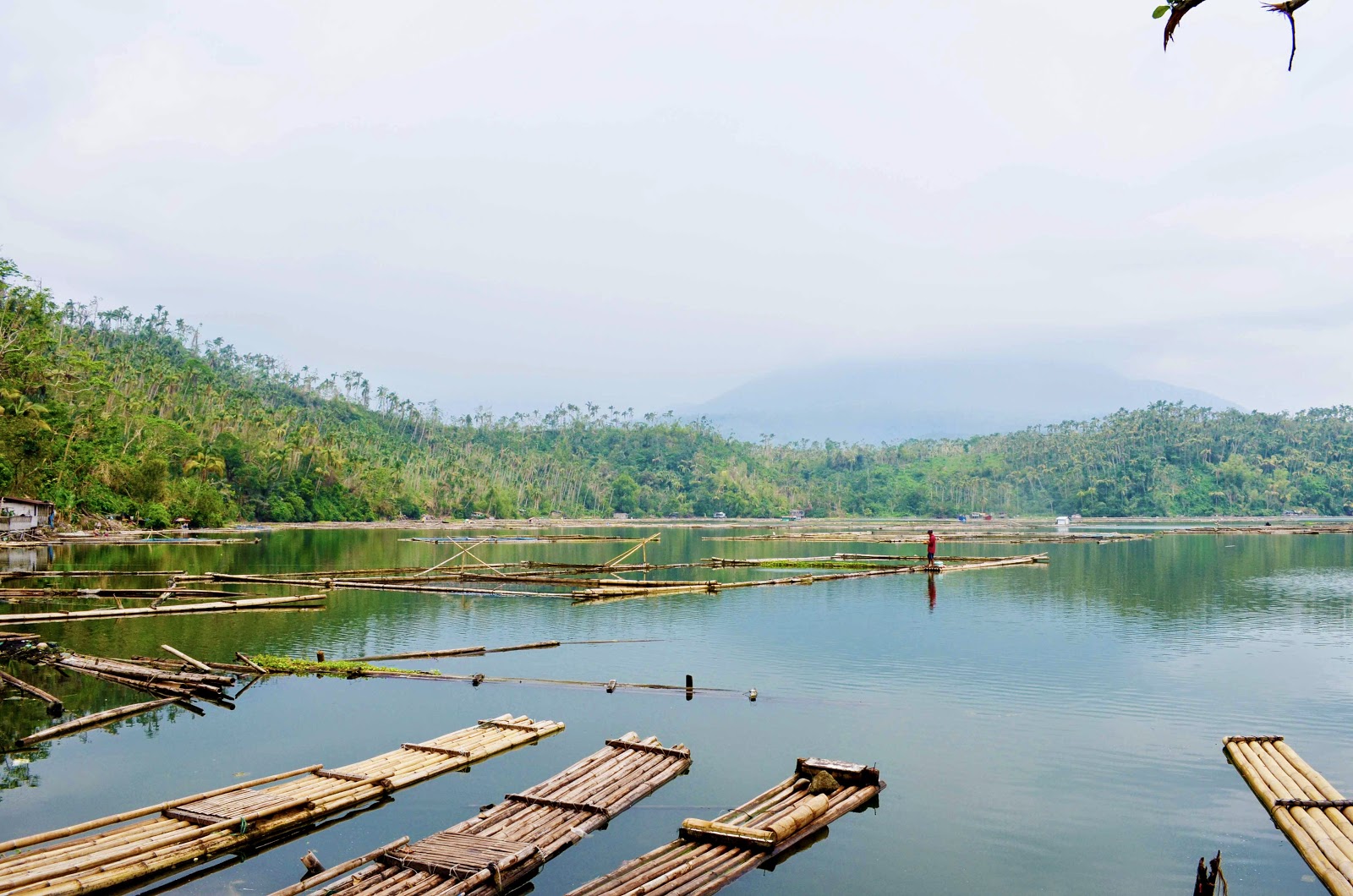 H E L L O ♥ K I M M Y : Seven Lakes Of San Pablo City, Laguna
