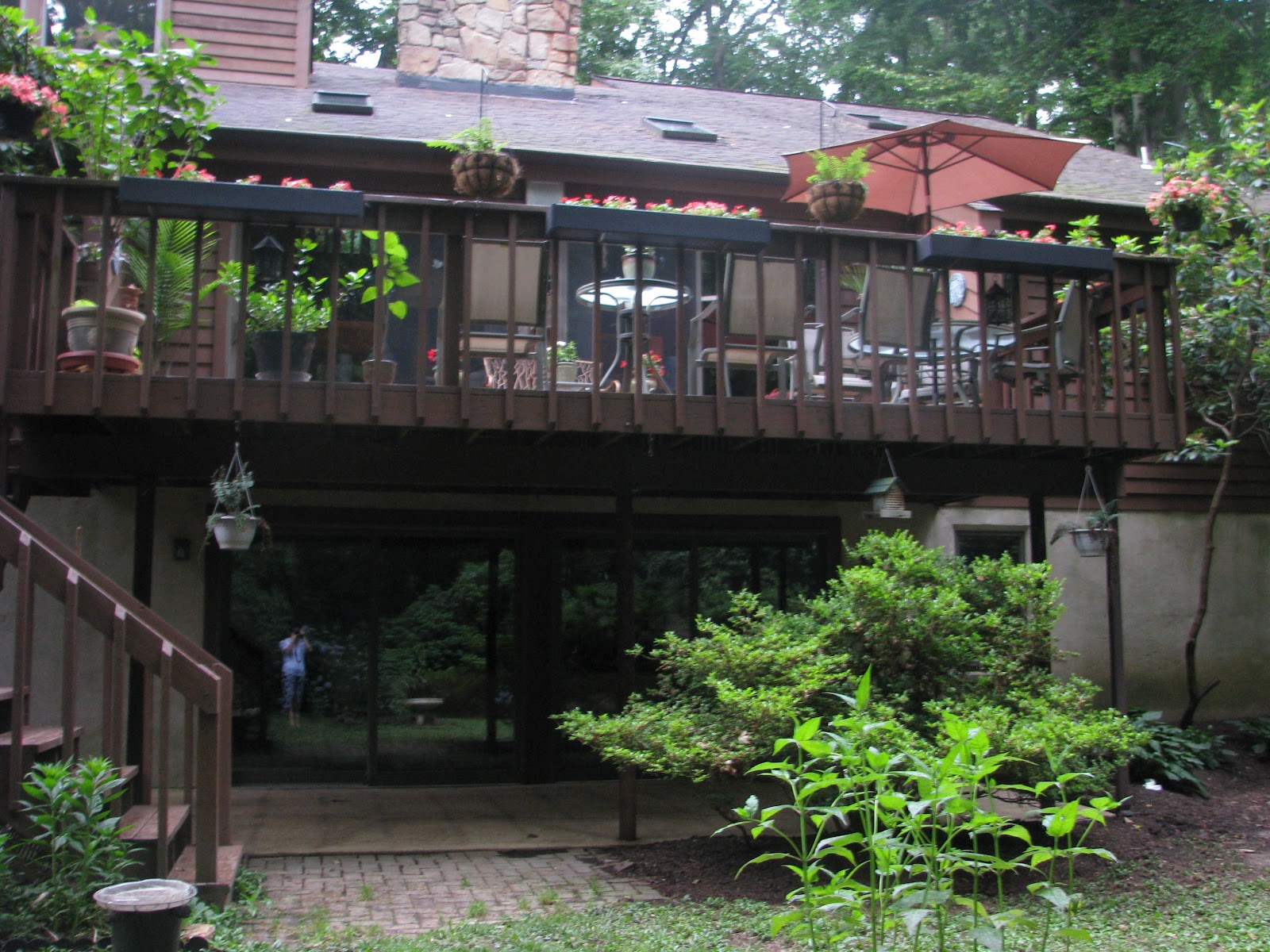 Designs by Pinky: ~~~Garden Shots~~~~