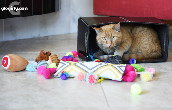 GLOGIRLY: Soooo Many Toys