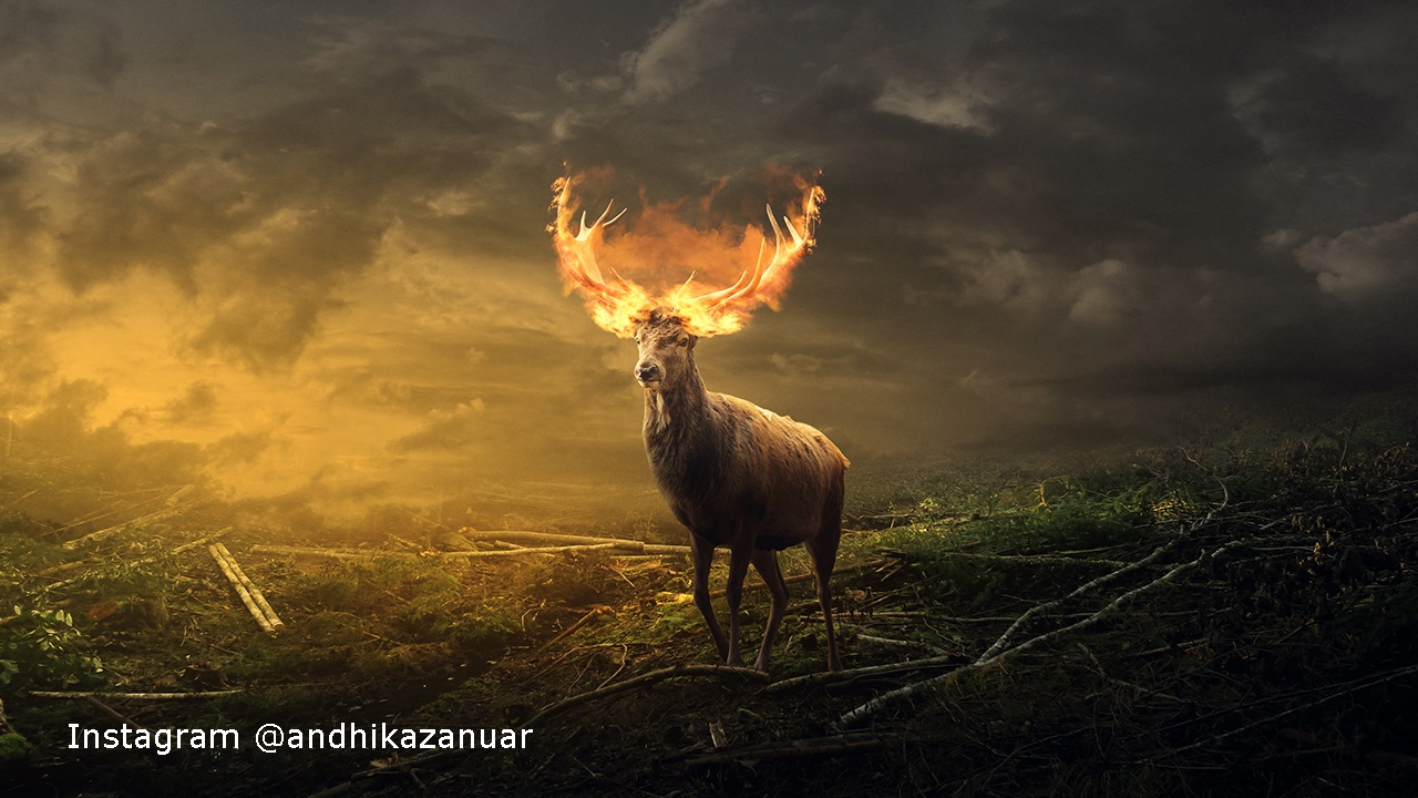 Deer on Fire - Photoshop Surreal Manipulation Tutorial - zanuara.com