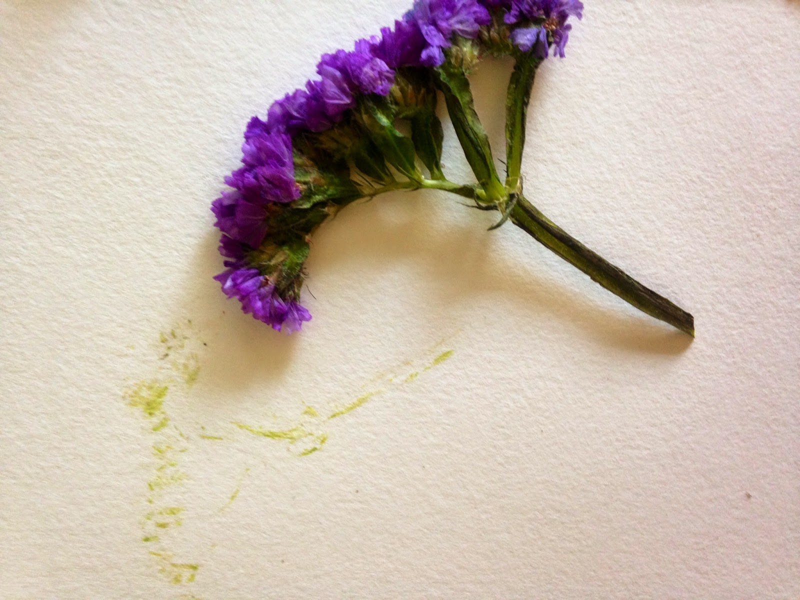 How To, How Hard, and How Much: Hammered Flower Prints