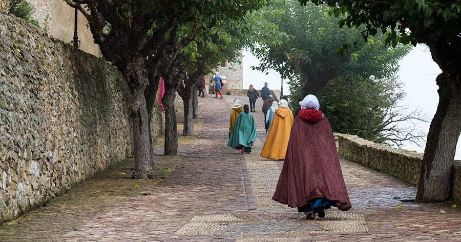 BICHOS Y MAS VLC: RECREACIÓN HISTÓRICA CULLA 1233