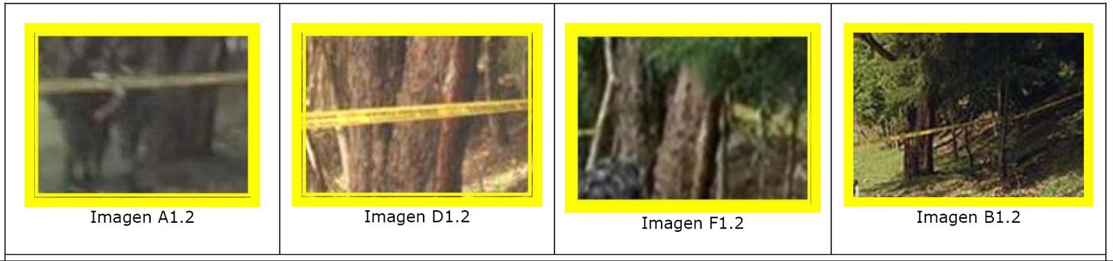 CANDIDATOS PRESIDENCIALES: Asesinato de Abogado Rodrigo Rosenberg Parte II