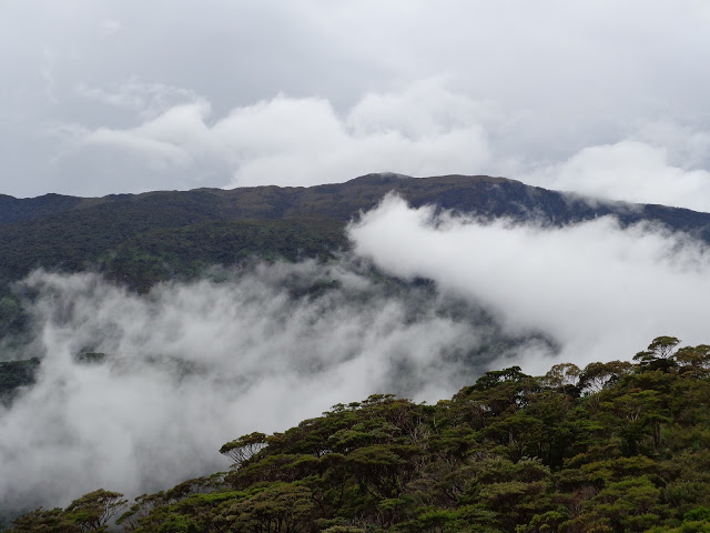 moisul's travelogue: Mt. Halcon...my very first 9/9...June 18-22, 2013