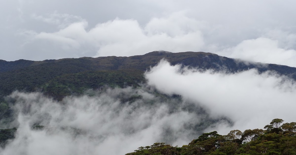 moisul's travelogue: Mt. Halcon...my very first 9/9...June 18-22, 2013