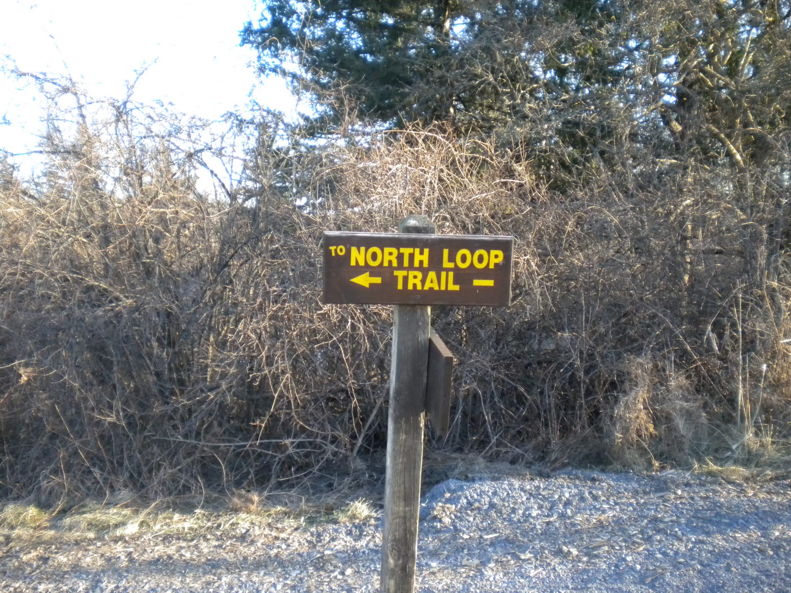 East Coast Hike- 5 Rivers North Loop Trail | East West Hike