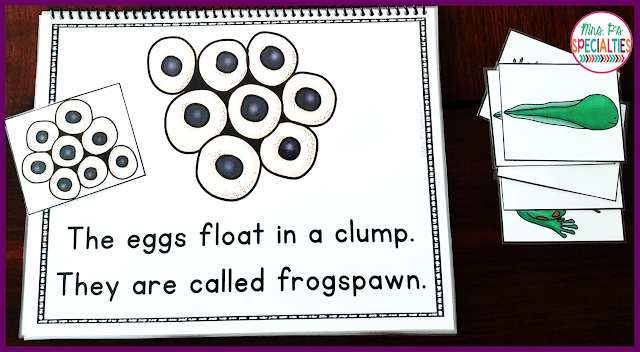 Frog And Pond Life Activities For Hands On Learners · Mrs. P's Specialties