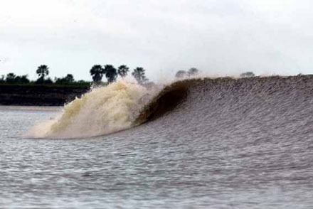 Canto da Amazônia: PRIMEIRA DESCRIÇÃO DA POROROCA