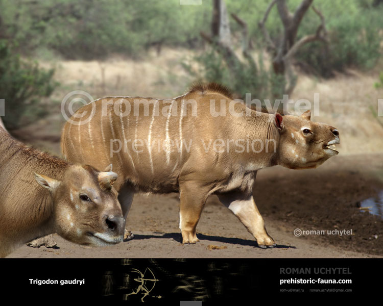 Escenarios prehistóricos: Trigodon