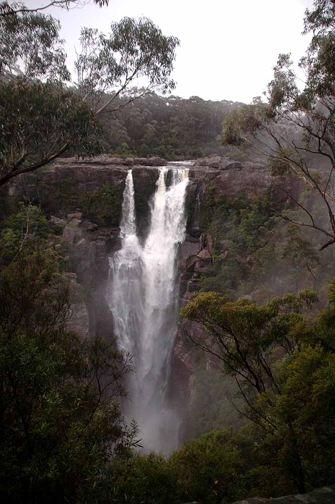 The Nature of Robertson: July 2011