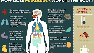 Danger Of Smoking Weed - Danger Choices