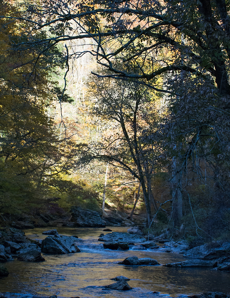 Sarah Pollock Studio - A Painting Odyssey: A Great Smoky Mountains Project