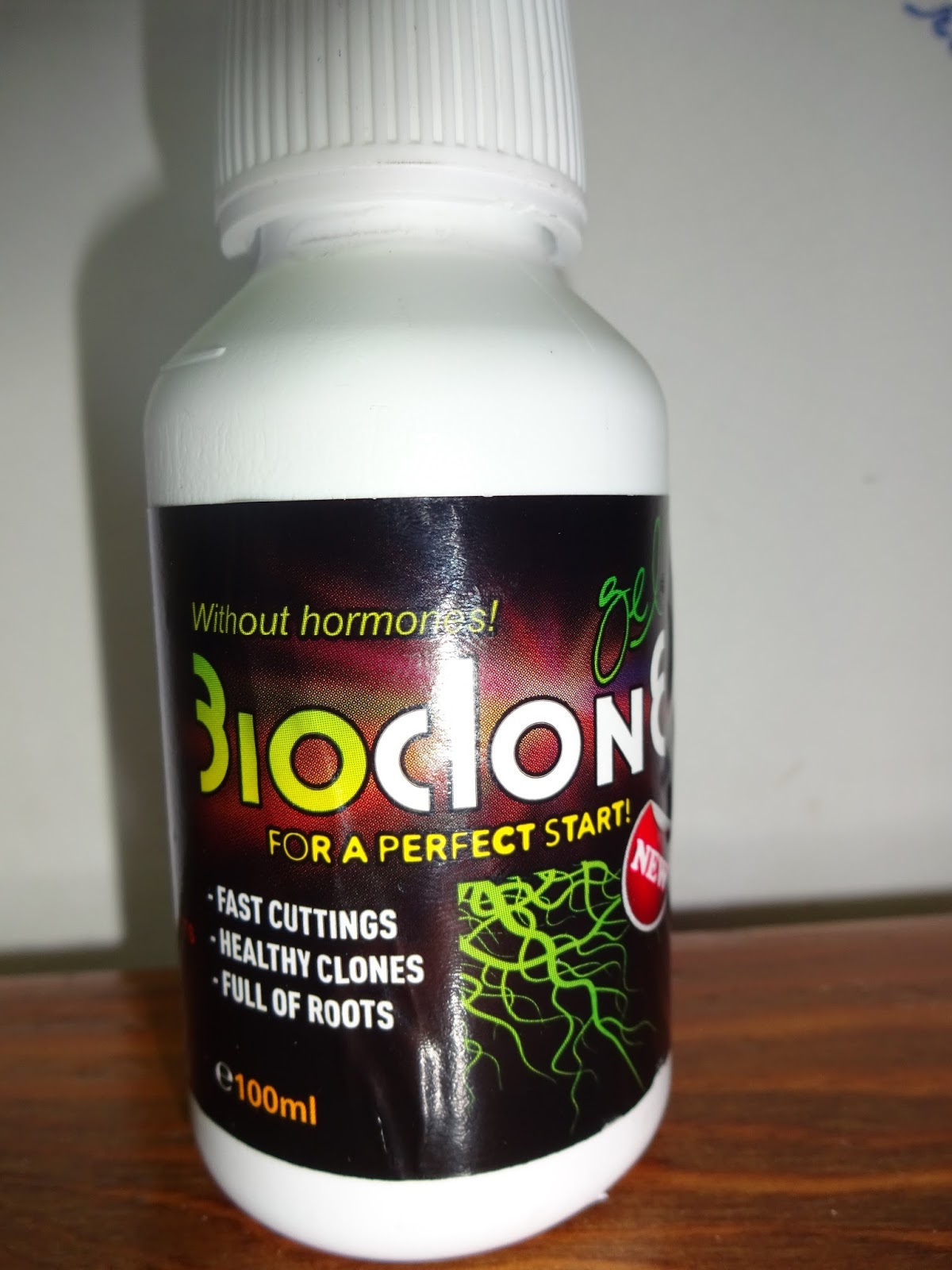 Review Bio Clone Bac