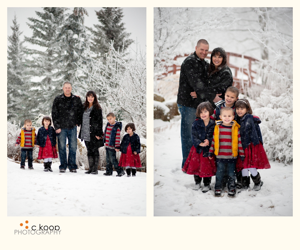 c koop photography: Now THIS is winter!! Family photos in the snow!