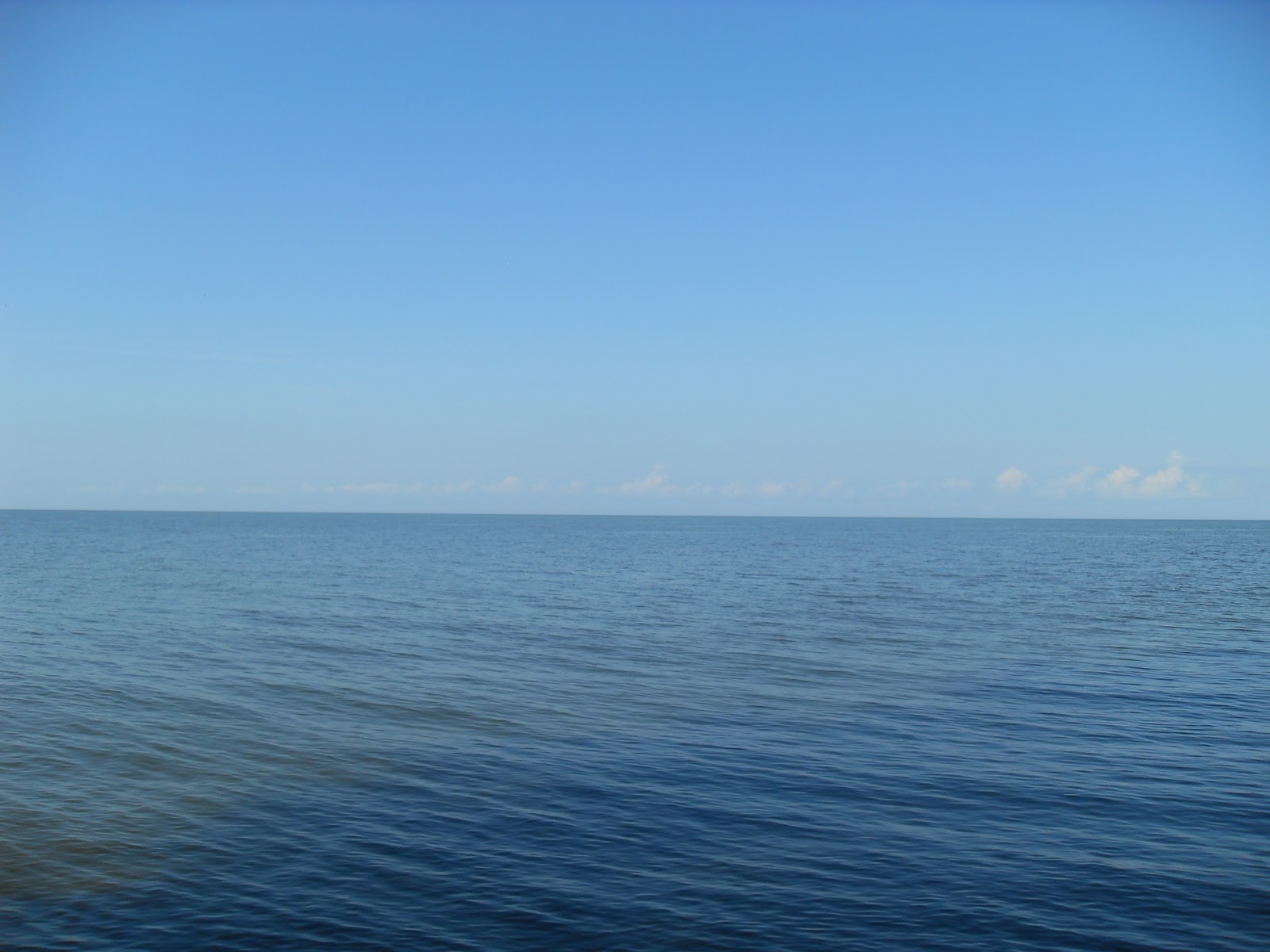 Bo-Nicolai: Estonia is a nice country