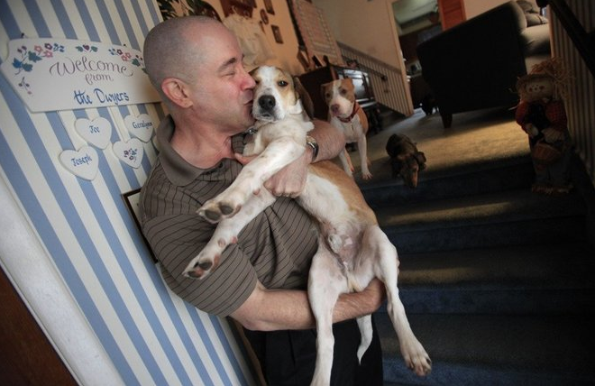 SHELTER TAILS: Daniel the Beagle Has a Loving Home