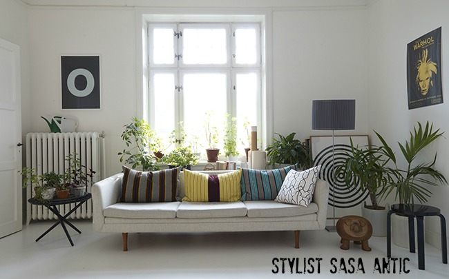 T.D.C: Stylist Sasa Antic