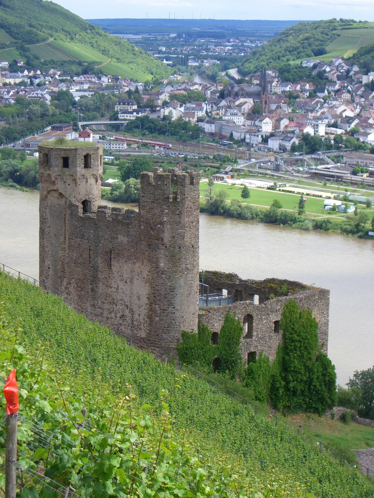 La vallée du Rhin : de Rudesheim à Coblence